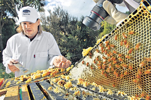 變革3部曲 麥蘆卡蜂蜜供不應求 - 行政人員 - 職場 - 生活 - etnet 經濟通 Mobile|香港新聞財經資訊和生活平台